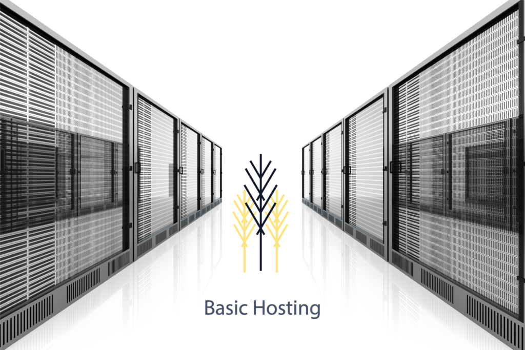 Basic Hosting Package – Two Row Studio